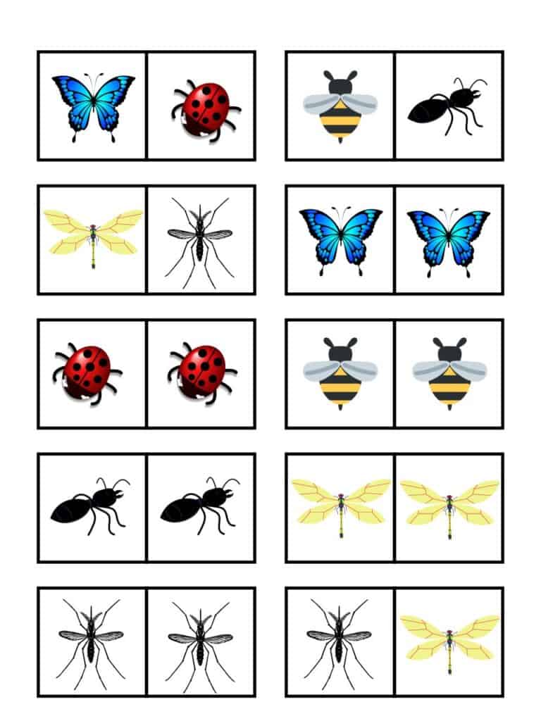 domino insects - Natalina Craft